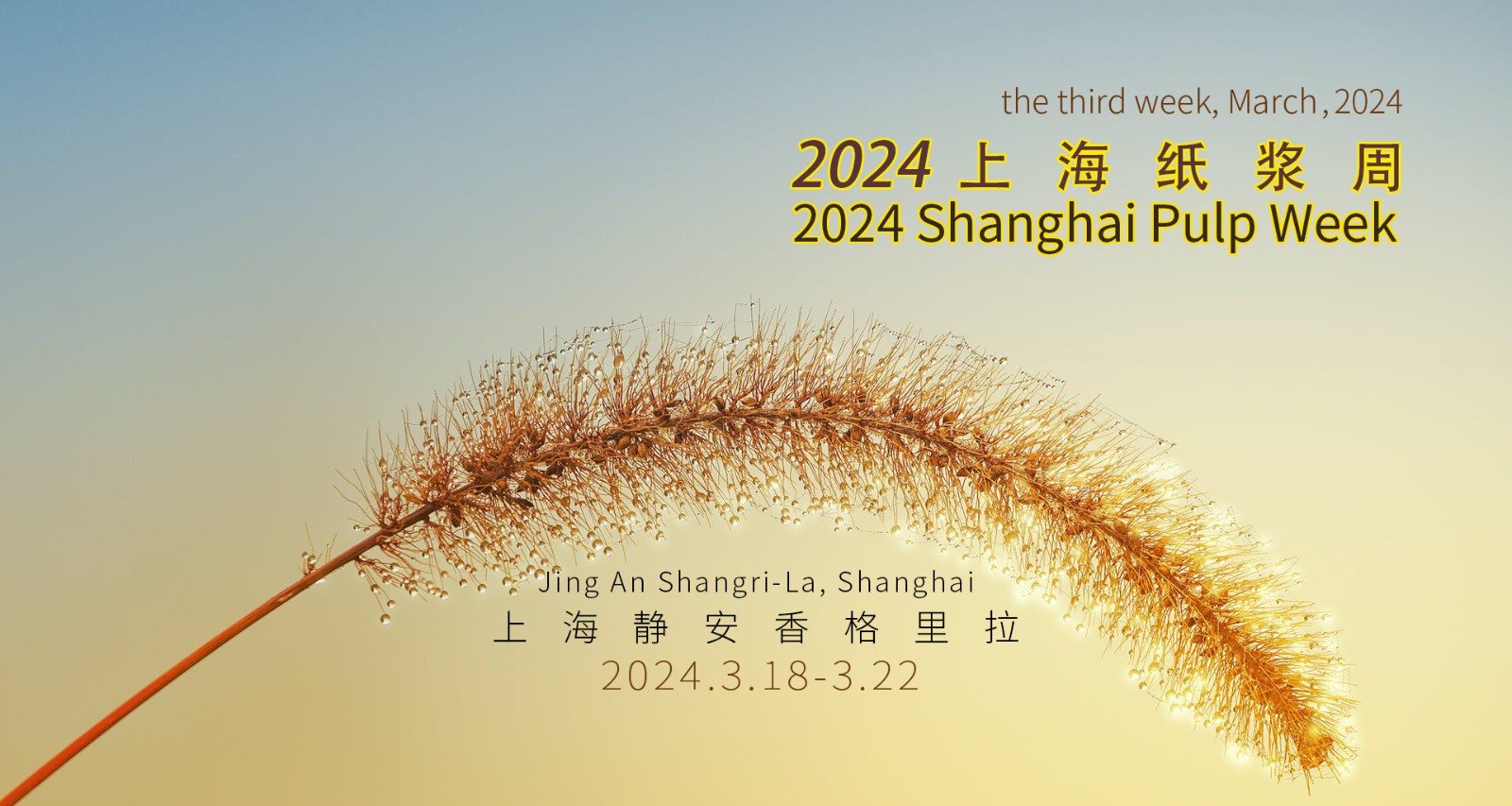 Shanghai Pulp Week_Home
