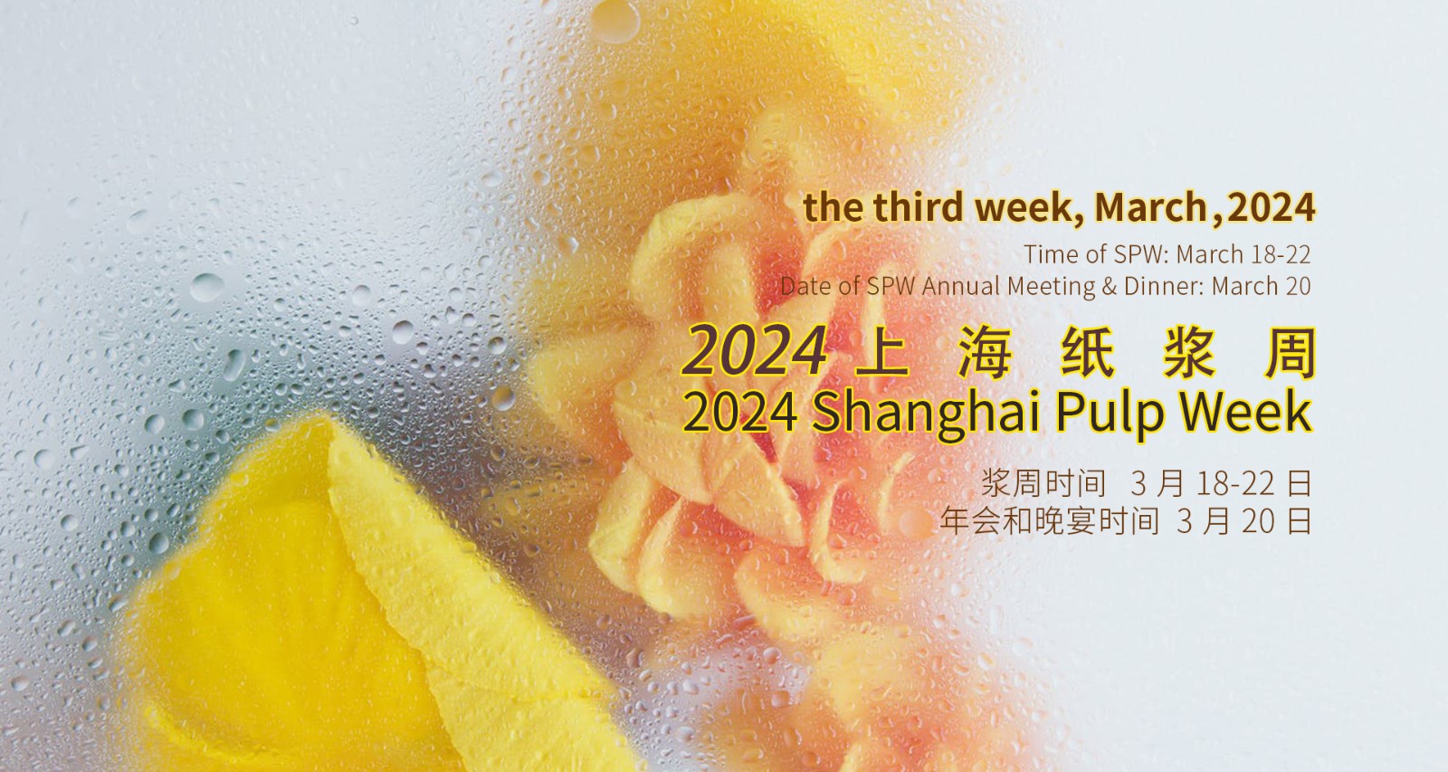 Shanghai Pulp Week_Home