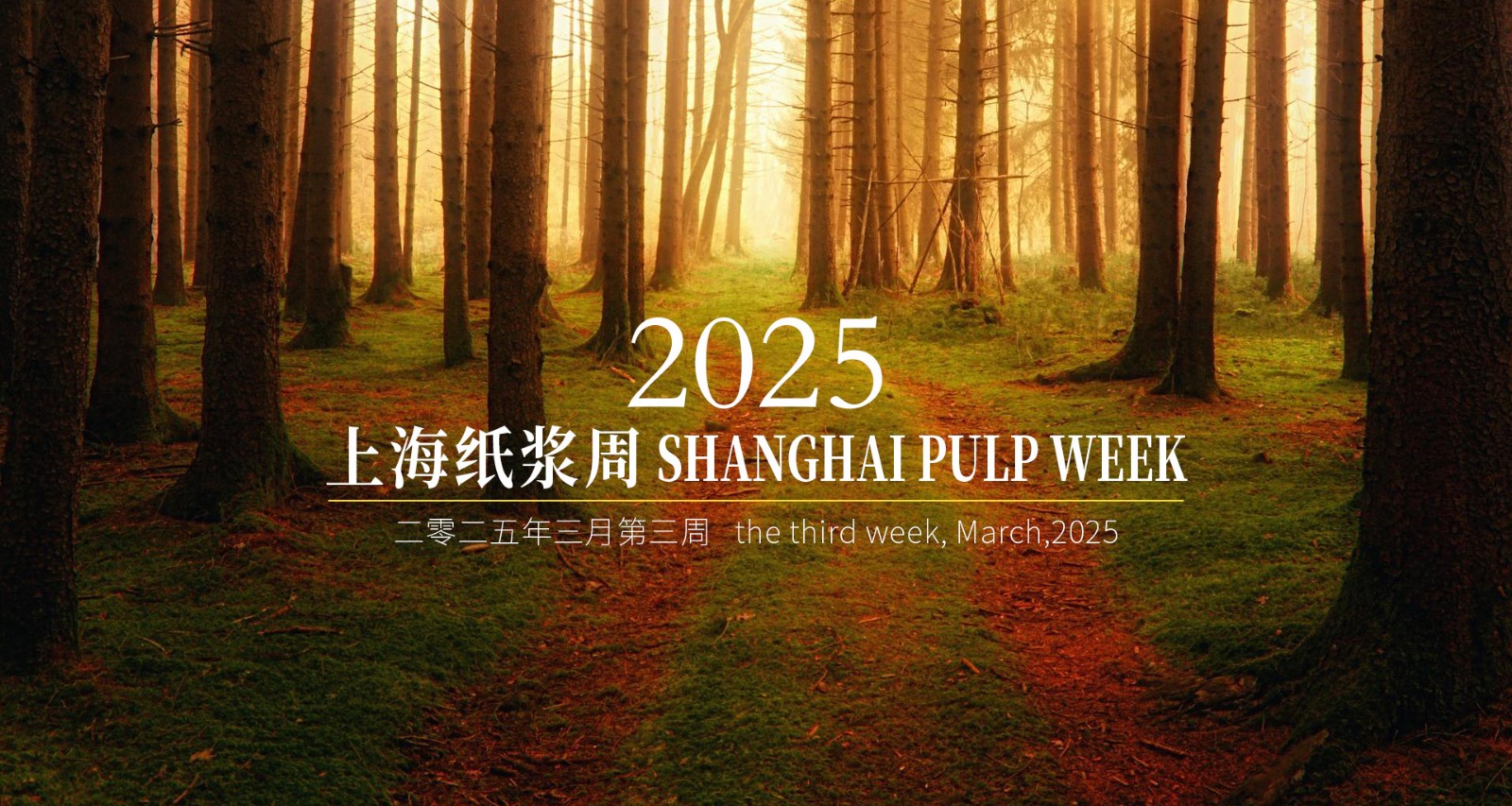 Shanghai Pulp Week_首页